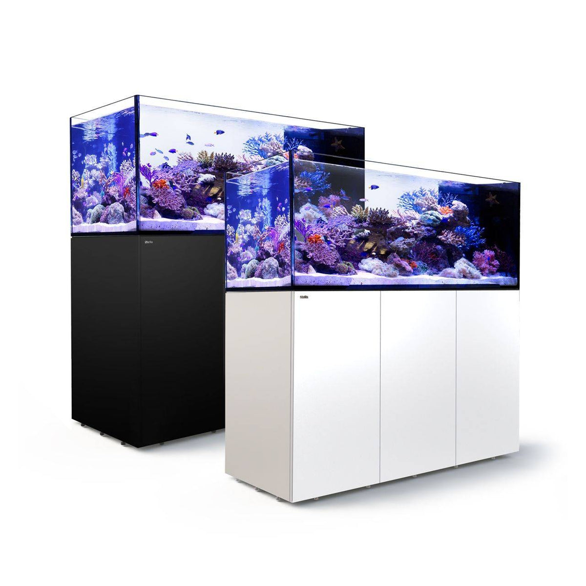 Red Sea Reefer Peninsula 650 Complete System – sjreef